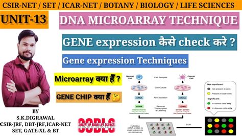 dna microarray technique microarray technique unit 13 csir net life sciences youtube