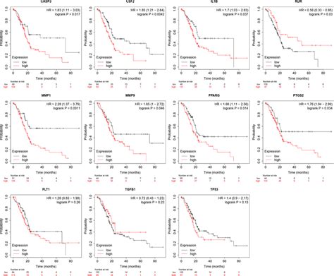 The Relationship Of Hub Gene Expression And Overall Survival