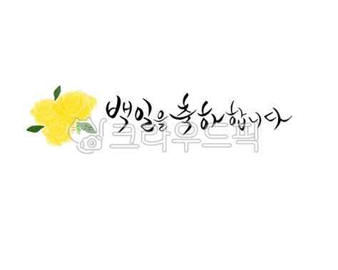 축하카드 축하봉투 백일축하 축하 백일 사진 이미지 일러스트 캘리그라피 수향작가