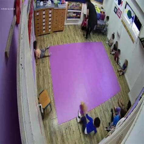 nursery project1 object detection dataset by nurseryproject