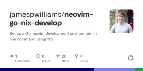 Set Up A Go Neovim Development Environment In One Command Using Nix