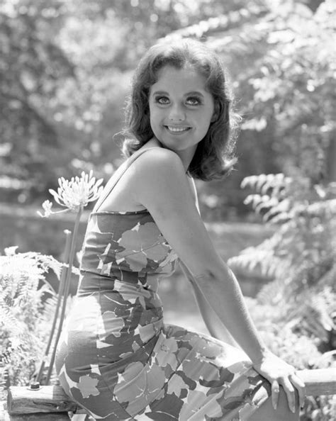 Dawn Wells Photograph Poster Print This Picture Of Dawn Wells