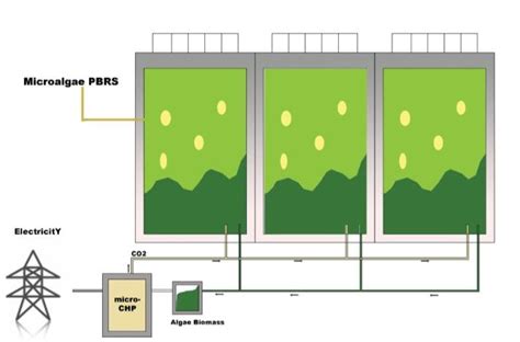 Functioning Of A Bioreactor Façade Download Scientific Diagram