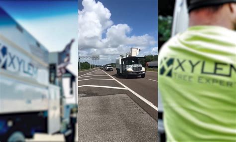 Xylem Tree Experts Home Facebook