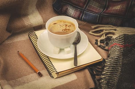 아늑한 겨울 구성 따뜻한 격자 무늬와 뜨거운 코코아 한 잔 텍스트 복사 공간을위한 장소와 정물 0명에 대한 스톡 사진 및 기타