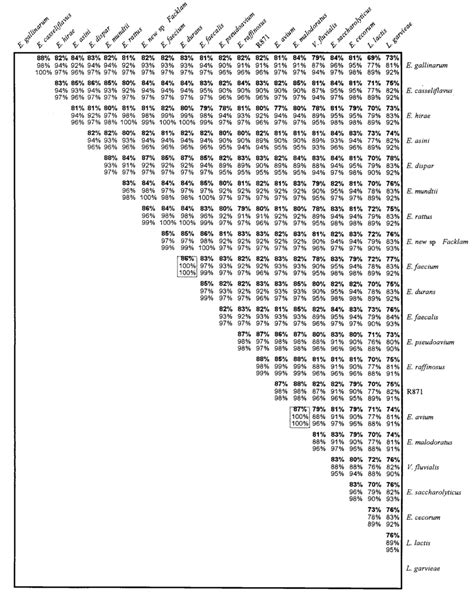 Nucleotide Sequence Identity Top Values Boldface Amino Acid