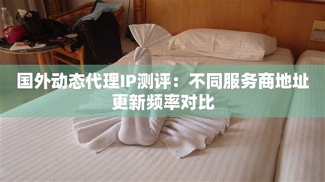 神龙海外代理 Socks5 动静态代理ip 代理ip软件工具 国外代理ip【在线免费试用】