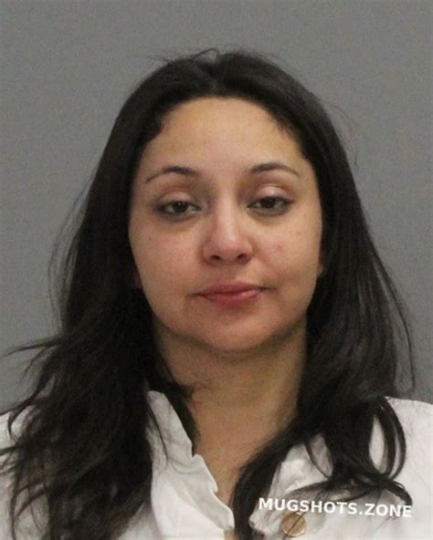 Hernandez Elide Itzel 04 06 2023 Brazos County Mugshots Zone