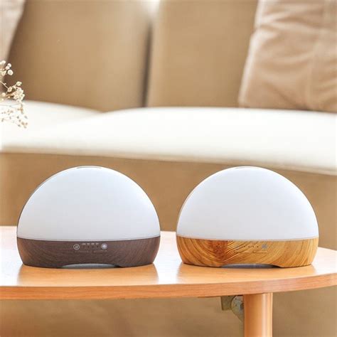 China Shell Shape Aromatherapy Diffuser Manufacturers Suppliers Factory China Shell Shape Aromatherapy Diffuser Manufacturers Suppliers Factory