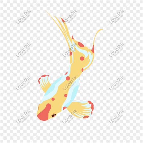 물방울 무늬 물고기 이미지 사진 401515849 무료 다운로드