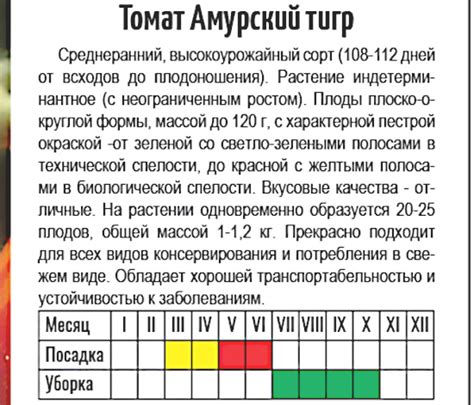 Томат Амурский тигр. Описание сорта, фото, отзывы