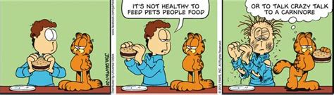 Garfields Love For Food In Comic Strips Photos Huffpost Life