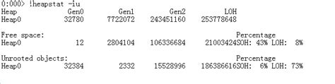 Windbg Net Application Memory Leak When Load Html File In