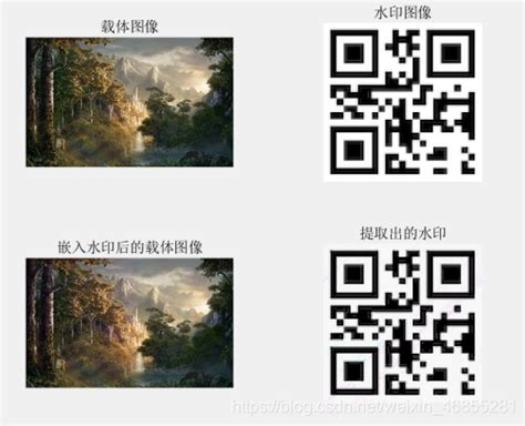 数字水印算法 Csdn博客