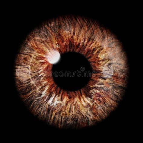 Realistic Image Of An Eye Iris Cornea Retina With Luminous Flash Brown Eye 3d Illustration