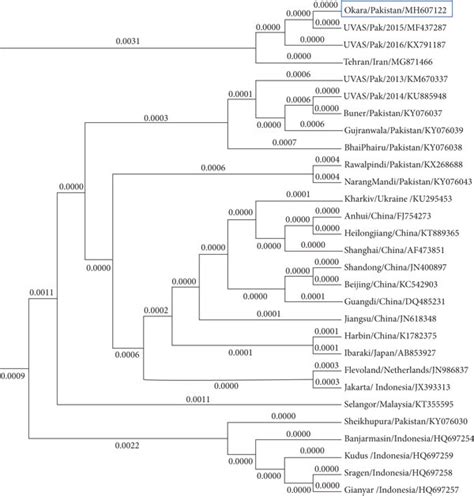 Sequences Were Obtained From Genbank And Dendrogram Was Constructed By Download Scientific