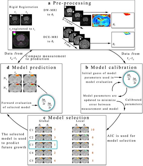 Schematic Of Experimental And Computational Methods Panel A Shows Our Download Scientific