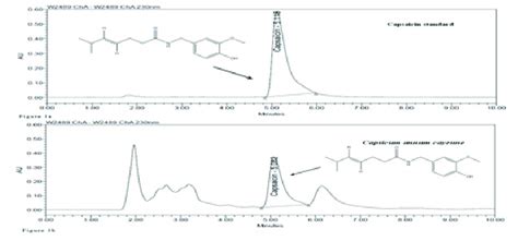 A Rp Hplc Chromatogram Of Capsaicin Standard B Rp Hplc Chromatogram Download Scientific