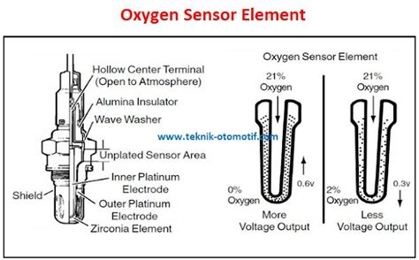 Oxygen O2 Sensor Function And Location INFO RUMAH CLUSTER