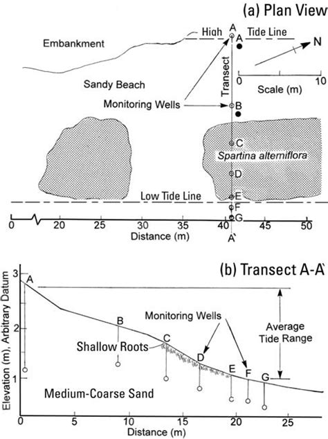 Plan View And Shoreline Perpendicular Transect Cross Section Of Site D Download Scientific