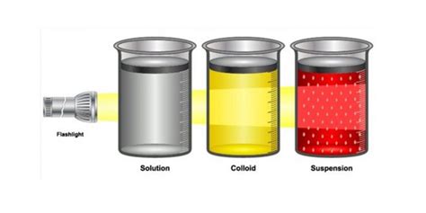 Mixture Types Solution Suspension Colloids Others Plantlet