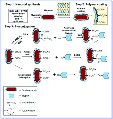 Scheme 7 Scheme Showing The Process Involved In The Click Reaction Of Download Scientific