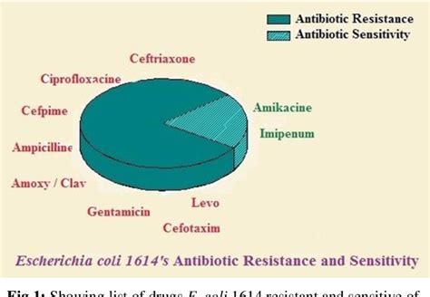 Figure 1 From Design And Development Of Gentamicin Based Novel Nano Composite Against Multi Drug