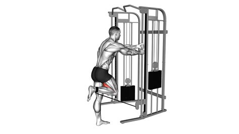 Cable Standing Leg Curl Ultimate Guide And Tips