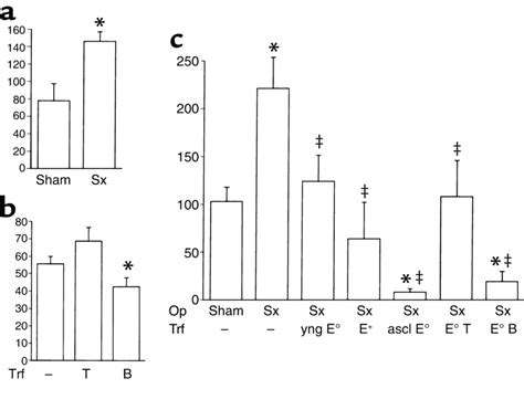Effect Of Splenectomy And Cell Transfer On Atherosclerotic Lesions In Download Scientific