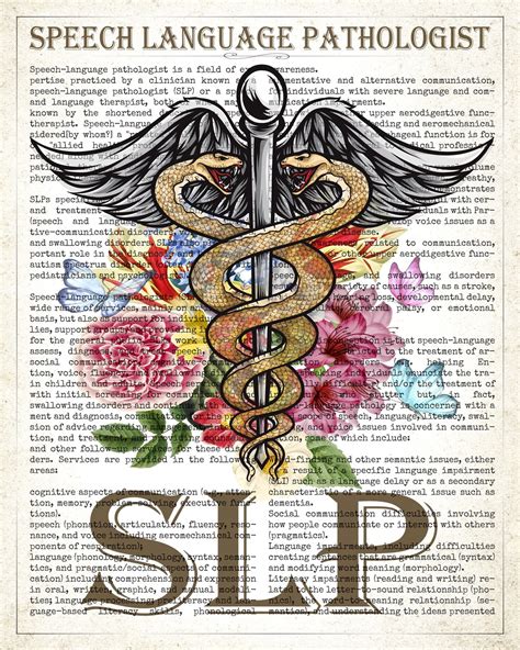 Slp Wallpapers Top Free Slp Backgrounds Wallpaperaccess