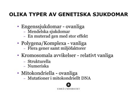 Avsnitt 16 Genetik Flashcards Quizlet