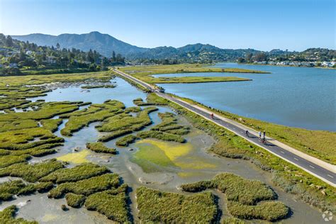 Mill Valley Ca City Guide About Living In Mill Valley