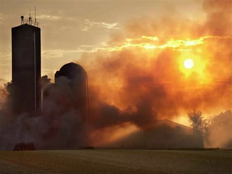 ‘deadliest Farm Explosion In Texas Kills Nearly 20000 Cattle