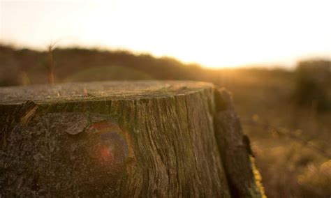 Cloud Computing Shaping The Future Of Web Development — Association Of Registered Web Designers