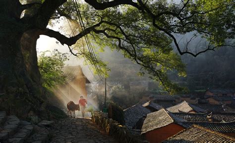 Destination Songyang China Tea Journey