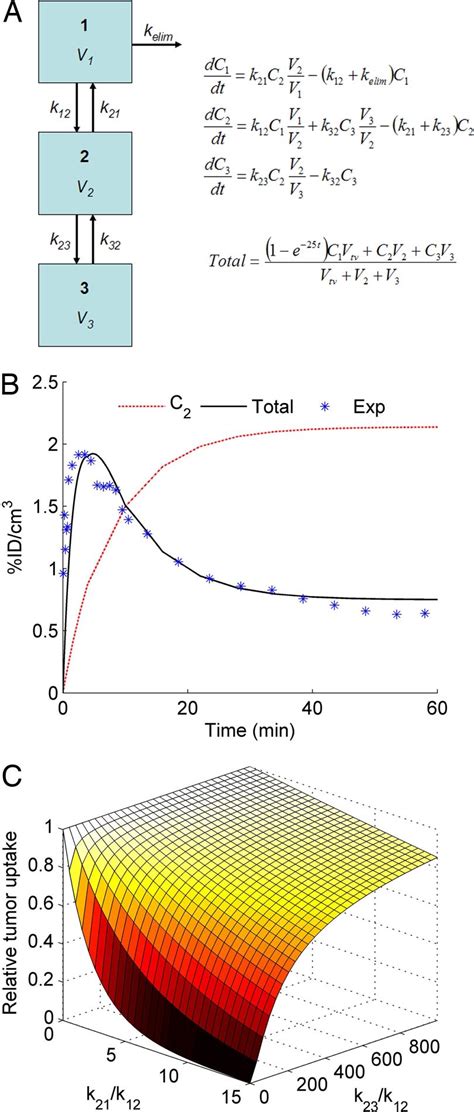 Analysis Of The Interplay Between The Epr Effect And Tumor Specific Download Scientific Diagram