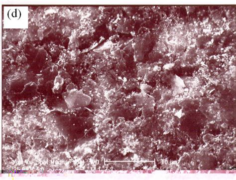 Sem Micrographs Of Steel Current Collectors St0 A St2 B St15 C