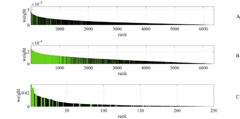 Feature Ranking According To The Absolute Value Of Ridge Feature
