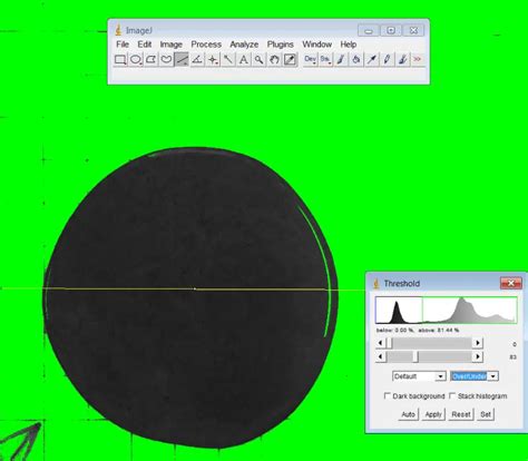 How To Compute The Area Of Irregular Shapes Using Imagej Algorithms