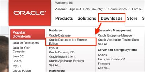 Mac 使用 Oracle Database Express Edition 11g Release 2 資料庫