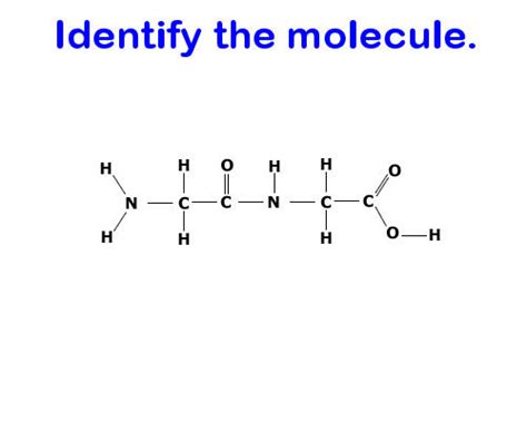 Identifying Macromolecules Flashcards Quizlet