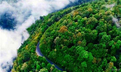 عکس های با کیفیت طبیعت عکس نودی