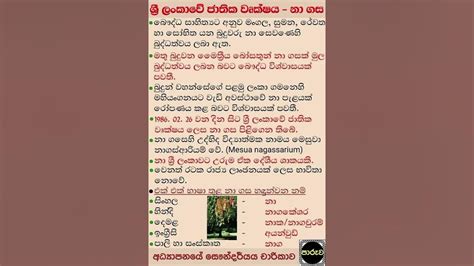 ශ්‍රී ලංකා ජාතික වෘක්ෂය 👍🥰නා ගස ඔබ නොදන්නා විස්තර මේ වීඩියෝ එක අවසන් වෙනකන් බලන්න Sub එකකුත්