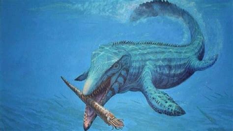 Fakta Reptil Laut Purba Mosasaurus Monster Laut Mengerikan