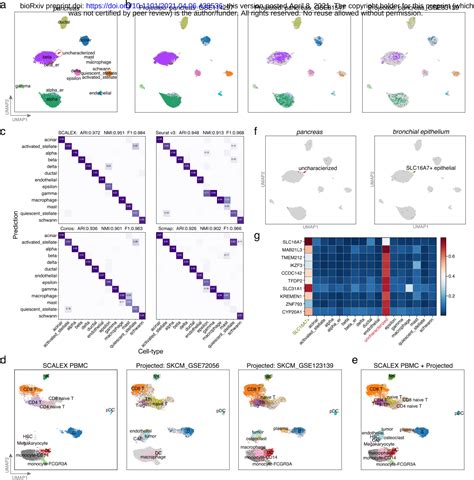 pdf online single cell data integration through projecting