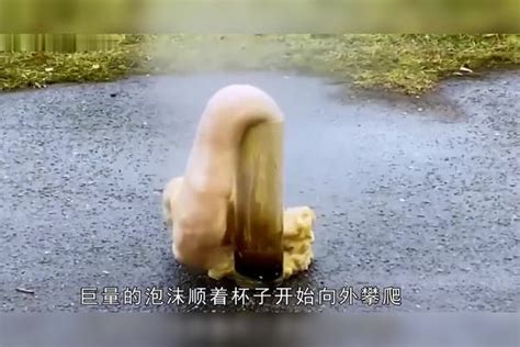 “法老之蛇”是什么？老外把可乐倒进去，一条“蛇”蹿了出来！老外可乐什么