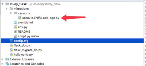 Flask Framework From Initial To Proficient Model Migration Operations
