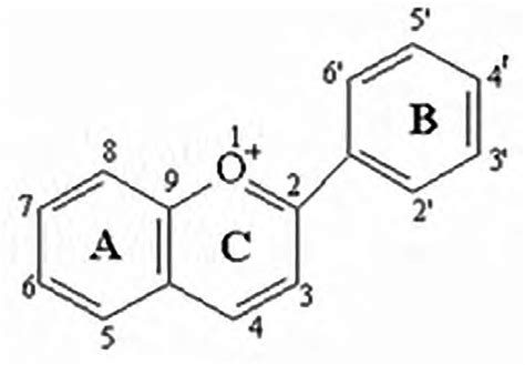 Estrutura Do Cátion Flavilium Download Scientific Diagram