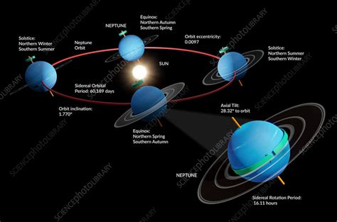 Neptunes Orbit Illustration Stock Image C058 1011 Science Photo Library