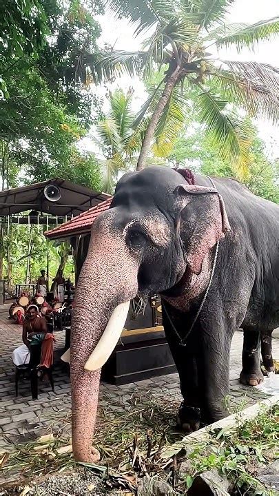 Ernakulam Sivakumar Youtube